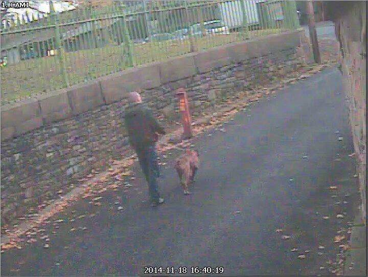 Which is the animal? Bolton man repeatedly STAMPS on dog's head ...