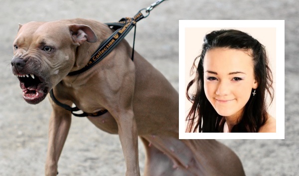 Owners of killer dogs could face up to 14 YEARS in jail following ...