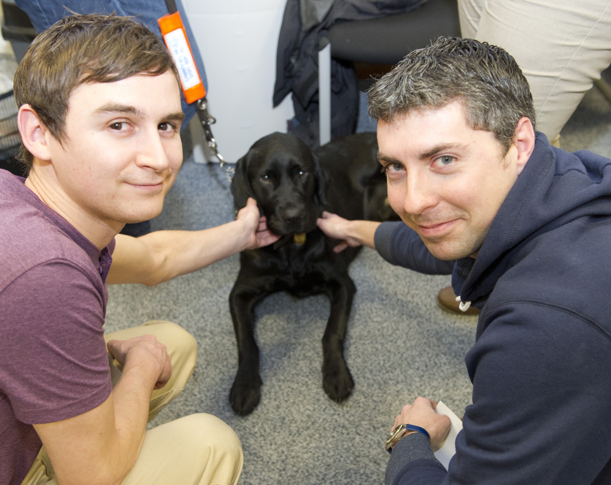 Puppy love: Guide Dogs UK’s Manchester centre receives £10,000 donation ...
