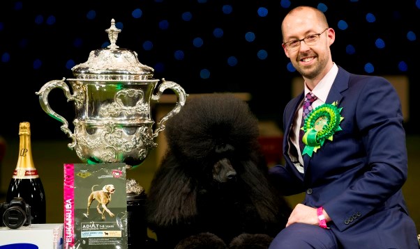 The Ricky Horror Show: Kirkham dog owner bags prestigious Best in Show ...