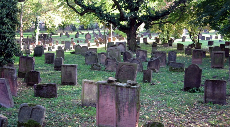 'Clear racial motivation': GMP condemn 'abhorrent' attack on Blackley ...