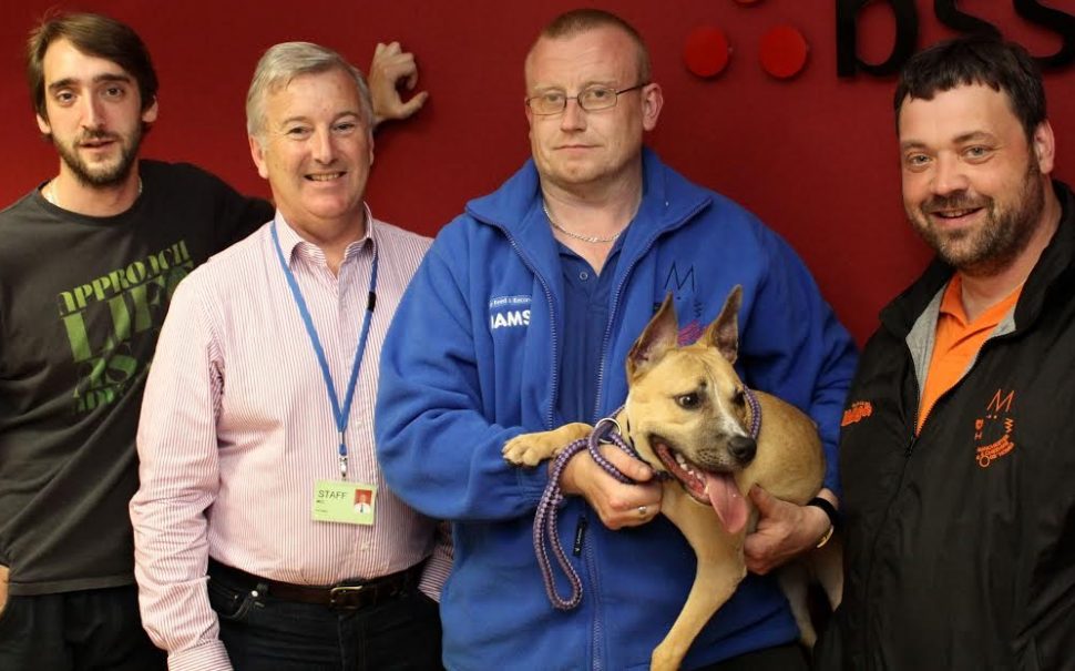 'I wouldn't change him for the world': Last dog saved from Manchester ...
