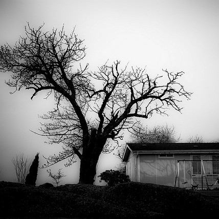 A Manchester ghost story: Discover how dark the city REALLY is this ...