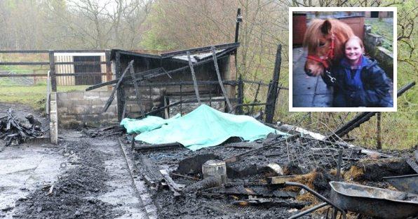 Why? 'Sick' arsonists burn horse and pony of girl, 10, in horror Bolton ...