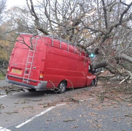 'Miraculous' escape for Manchester van driver as 70-FOOT TREE crashes ...
