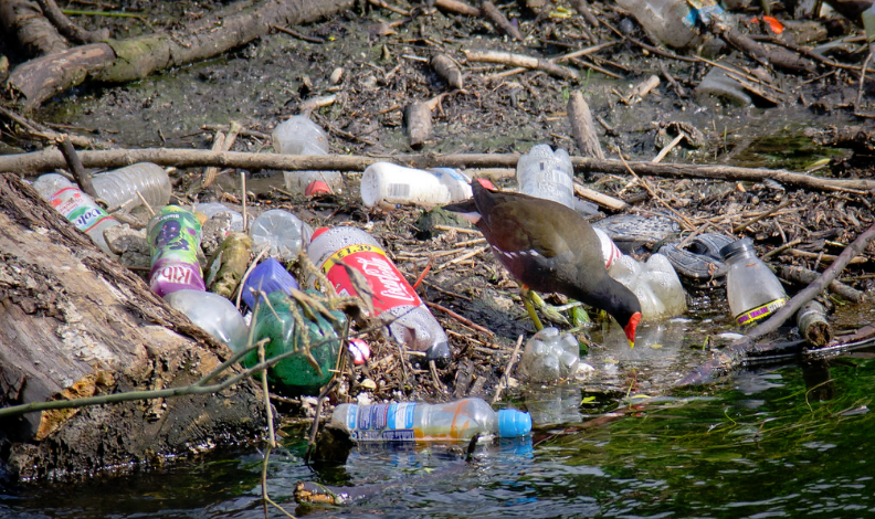 What is the Zero Waste Movement? Everything to know as Manchester ...