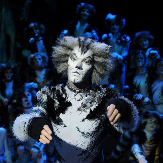 Theatre review: Cats @ Manchester Opera House - Mancunian Matters