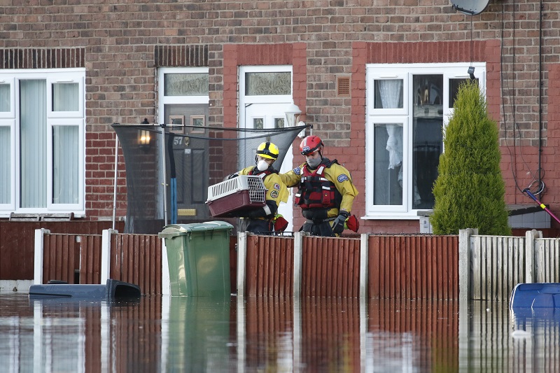 RSPCA brave floods to rescue Cheshire cats...and dogs after storm ...