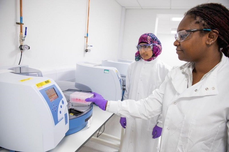 International Day Of Women And Girls In Science: Four scientists share ...