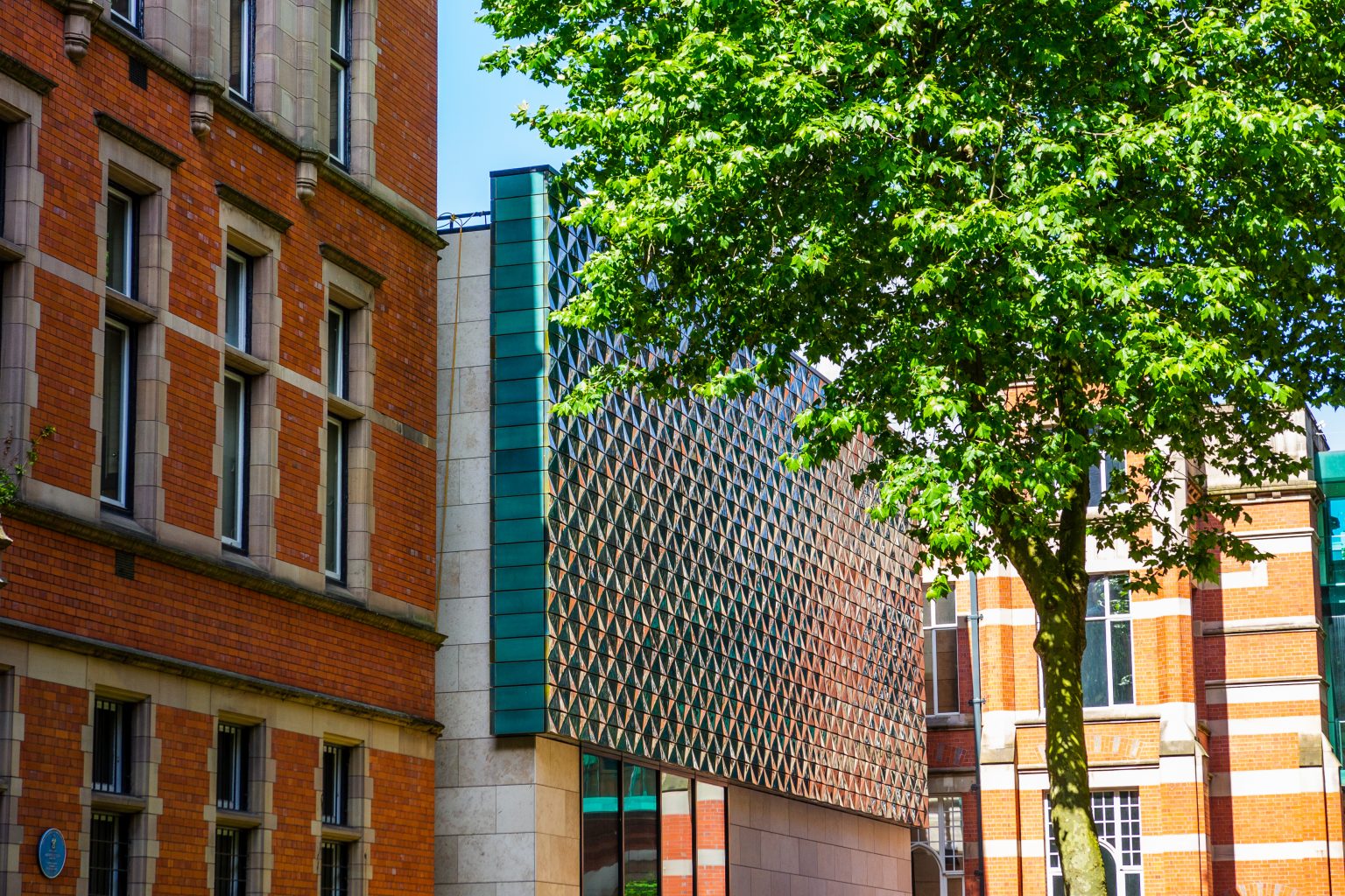 Manchester Museum set for dazzling and diverse reopening after £15 ...