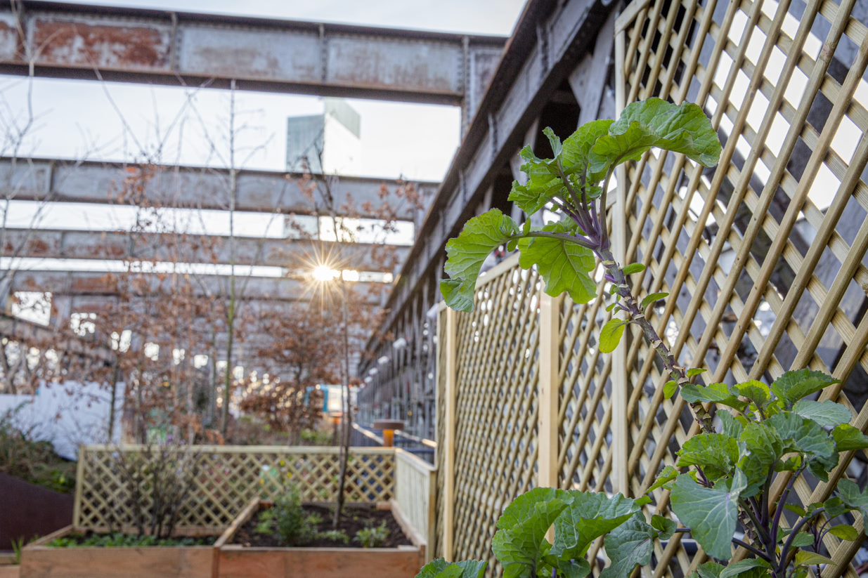 Castlefield Viaduct to reopen next week after last year’s successful ...