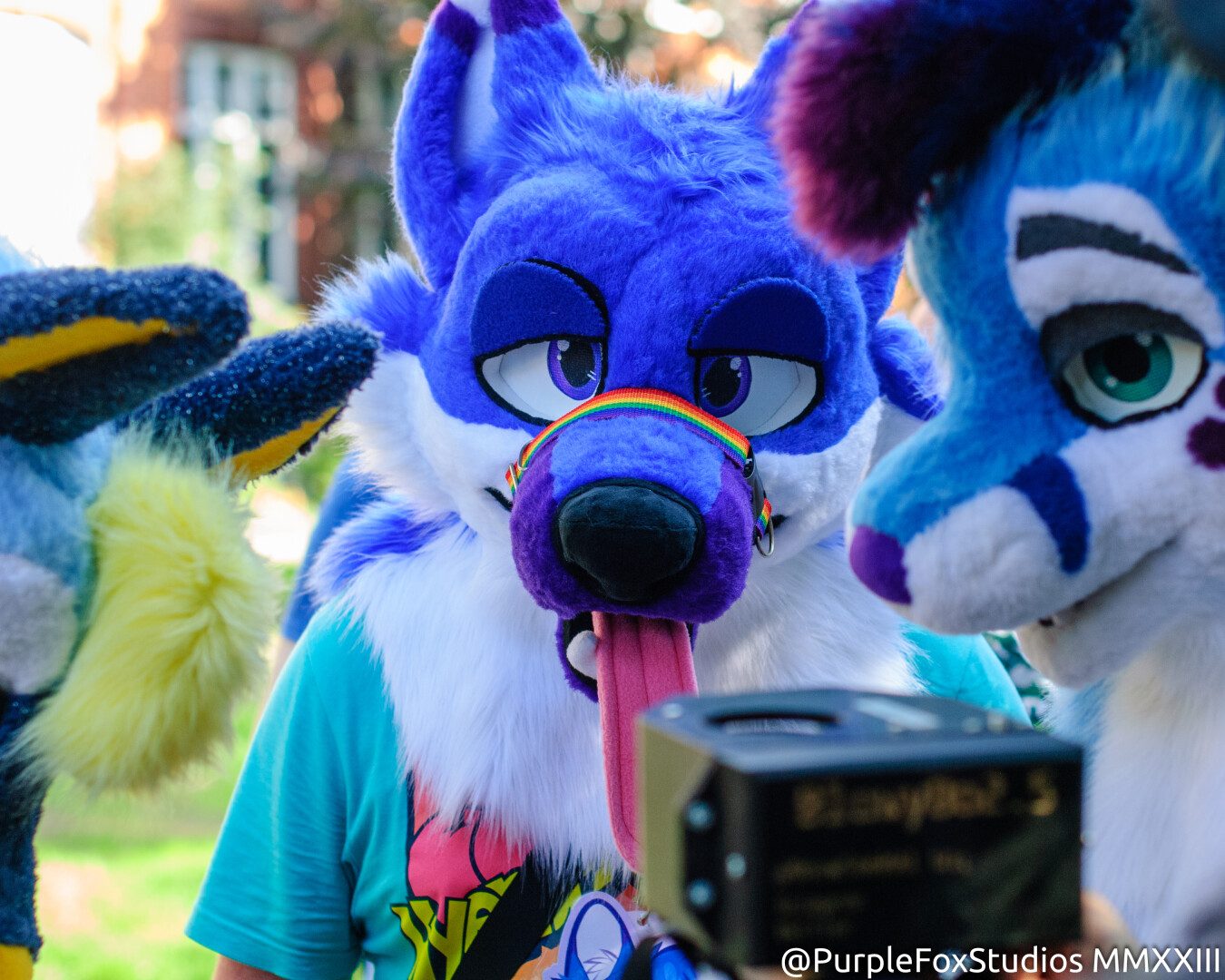 Is 2024 the year you try an alternative hobby