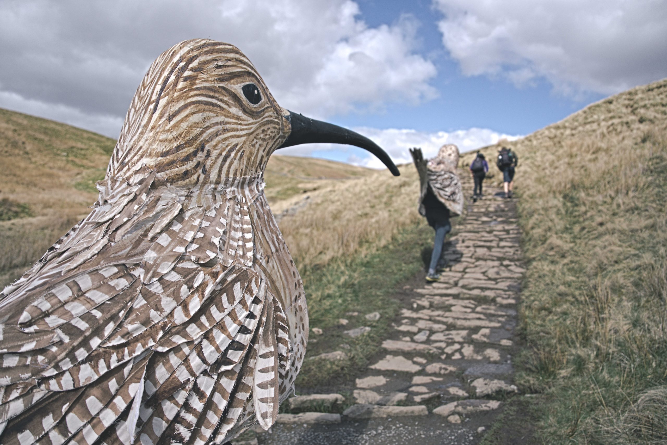 Wildlife lovers conquer the Yorkshire three peaks in bird costumes to ...